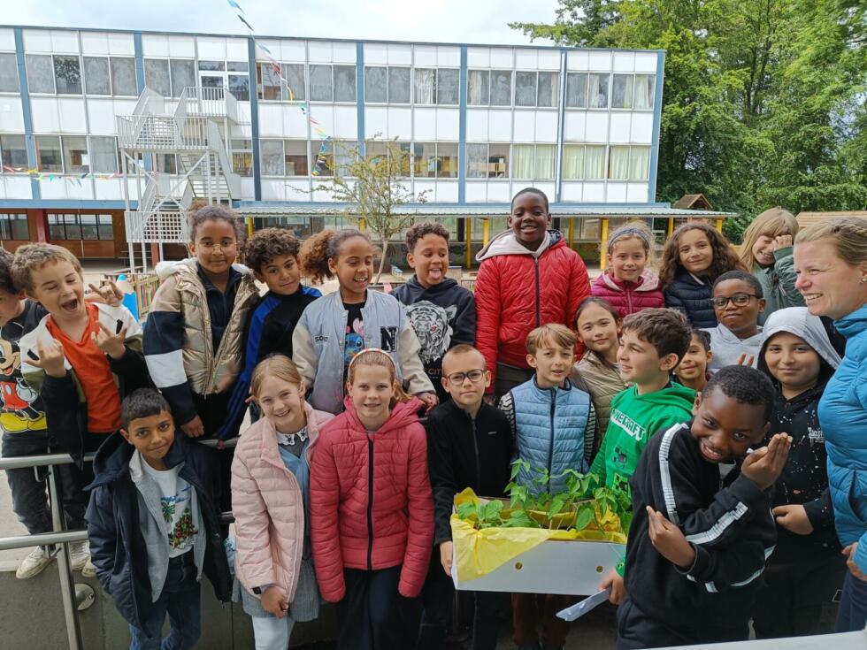 Des plantations au potager | Isma Arlon